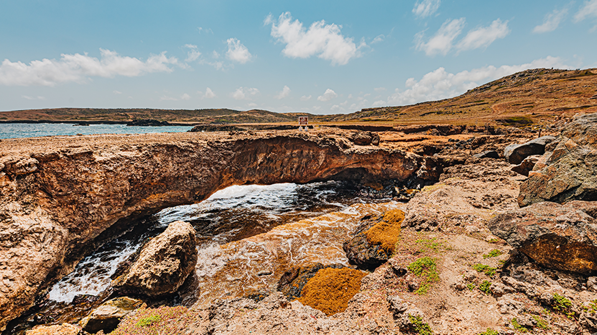 3 natuurwonderen die je niet mag missen op Aruba | Travel Counsellors